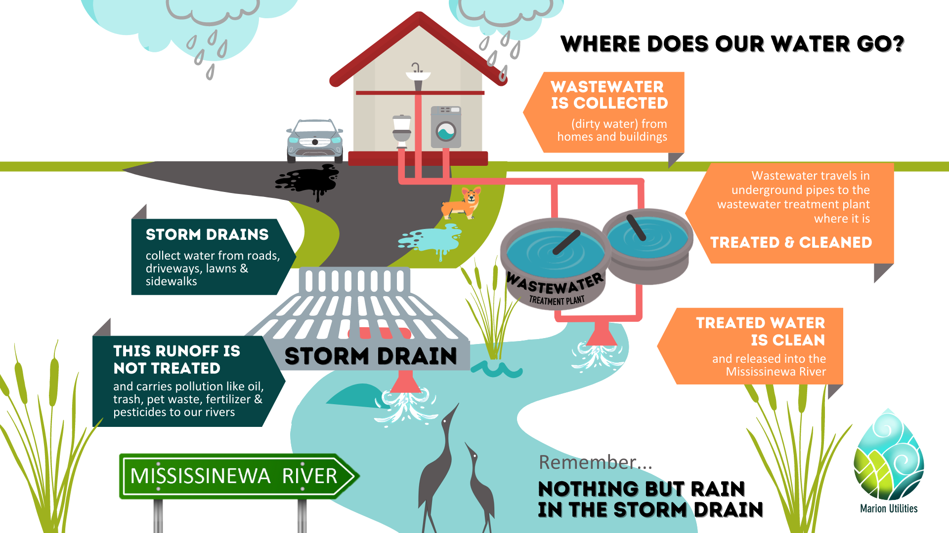 Wastewater Division | Marion Municipal Utilities